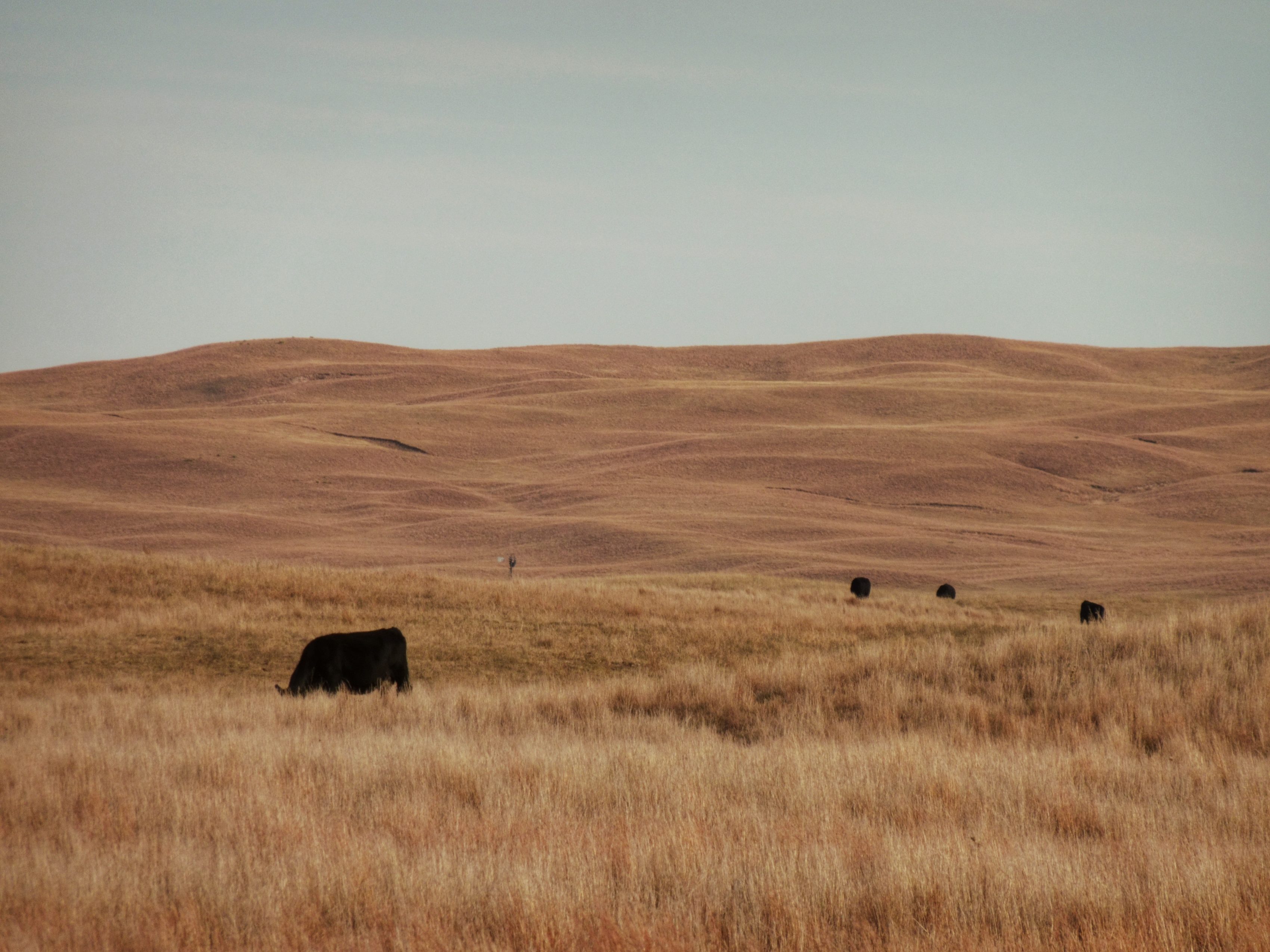 Weekly Wagon 3: Road-Tripin' Lodging of the Midwest - Pack the Peanut ...